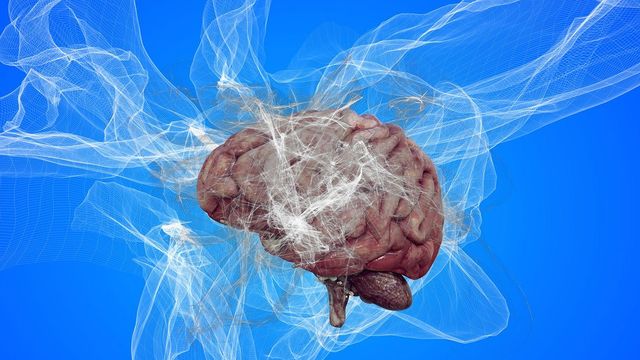 Agent Orange Exposure Mirrors Alzheimer's Impact on Brain Tissue ...