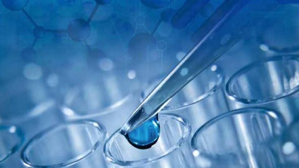 Discover a Clear and Easy Guide to ELISAs | Technology Networks