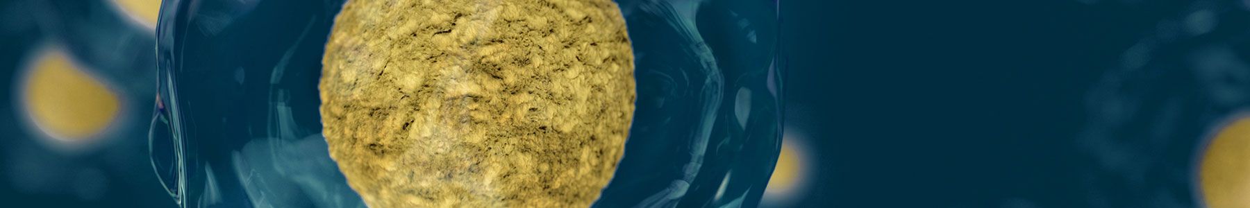 Automated Immunoassay Technology for Efficient Biomarker Detection ...