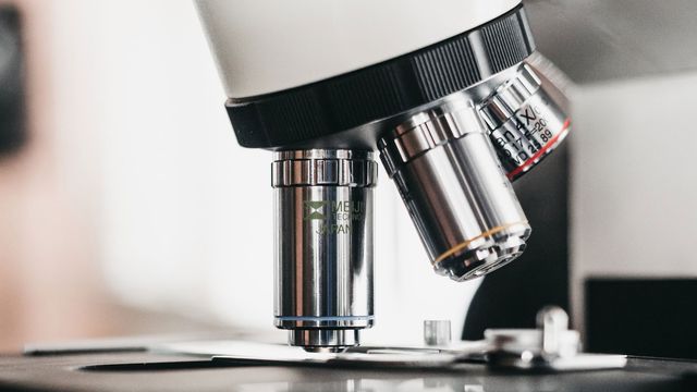 Reimagining Electron Microscopy: Bringing High-End Resolution to Low ...