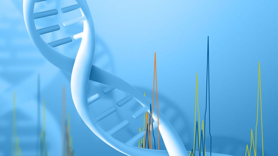Fragment Analysis By Capillary Electrophoresis Technology Networks