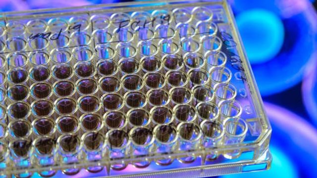 Screen Single Cells in Their Own Microenvironment | Technology Networks