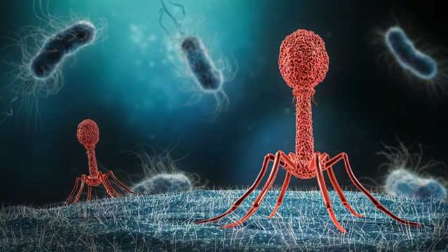First Look at Atom-Level Structure of Packaged Viral Genome ...