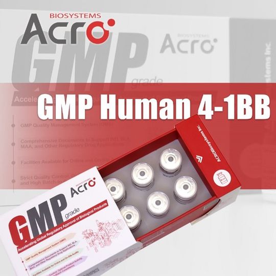 GMP Human 4-1BB Ligand Protein for T, NK, and DC Cell Culture | Lab ...