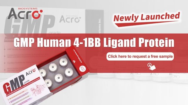 GMP Human 4-1BB Ligand Protein for T, NK, and DC Cell Culture | Lab ...