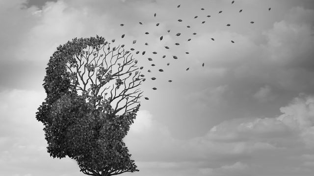 Long-Term Memory Formation Requires Nerve Cell Damage | Technology Networks