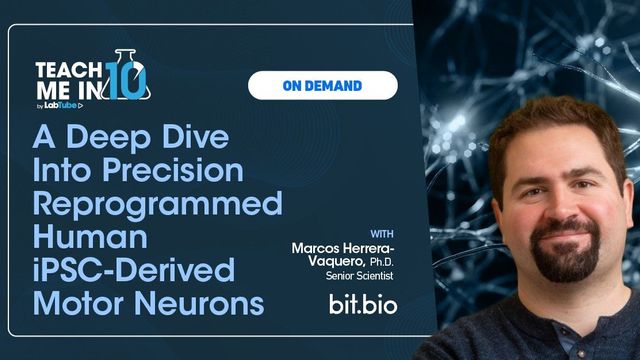 How To Accelerate Research and Drug Discovery in Motor Neuron Disease ...