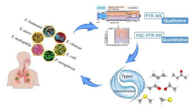Sniffing Out Bacteria Novel Approach For Rapid Bacterial Species Identification Technology