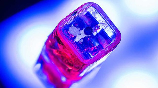 Smallest Implantable Brain Stimulator Developed for Human Patients ...