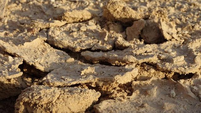 How Do Soil Microbes Survive in the Harsh Desert Climate? | Technology ...