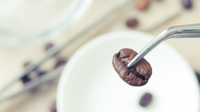 Is Lab-Grown Coffee the Sustainable Brew of the Future? | Technology ...