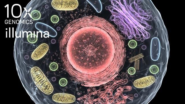 10x Genomics | Technology Networks