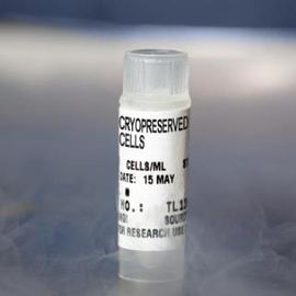 Human Peripheral Blood Mononuclear Cells (PBMCs) | Technology Networks