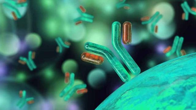 Therapeutic Antibodies | Technology Networks