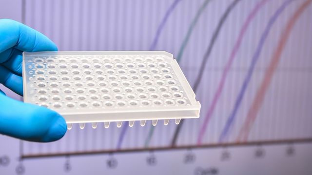 qPCR vs dPCR: Choosing the Right PCR Technology To Suit Your | Technology Networks