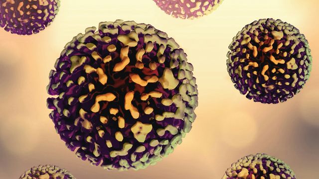 Hepatitis B Mechanisms Reveal Potential New Approaches to Therapies ...