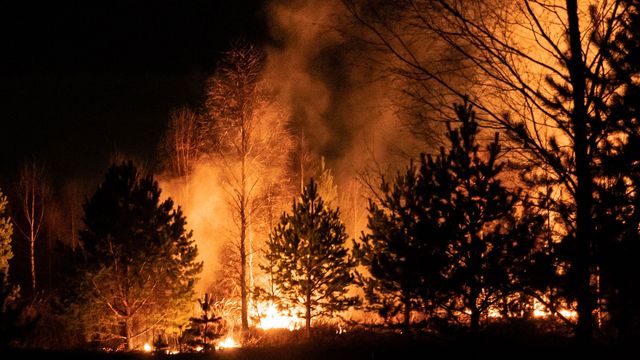 New Wildfire Smoke Model Can Spot Areas for Public Health Intervention ...