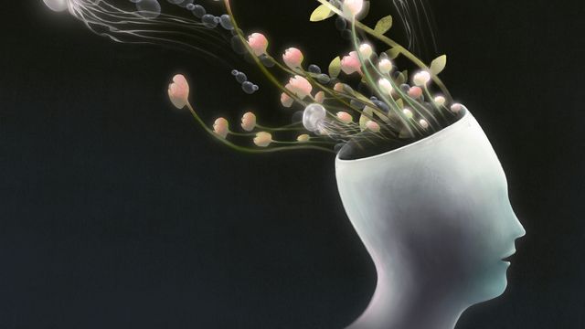 Researchers Uncover How Psychedelics Interact With Serotonin Receptors ...