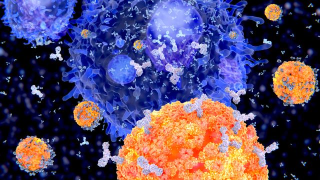 Midnolin Depletion Shows Promise in Cancer Treatment | Technology Networks