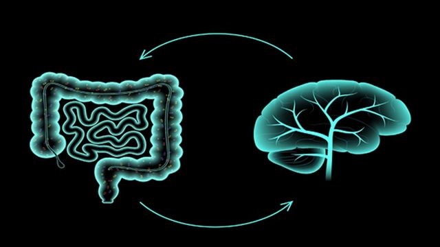 Pre- and Probiotic Supplements Increase Sensitivity to Social ...