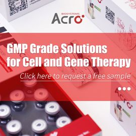 High-Quality GMP Grade Products for Cell and Gene Therapy | Lab ...