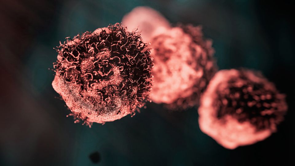 A Rapid and Robust Solution for Cellular Response Characterization ...