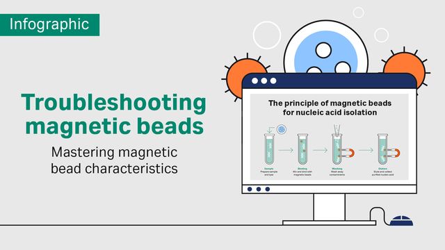 Your Guide to Mastering Magnetic Bead Characteristics Infographic ...