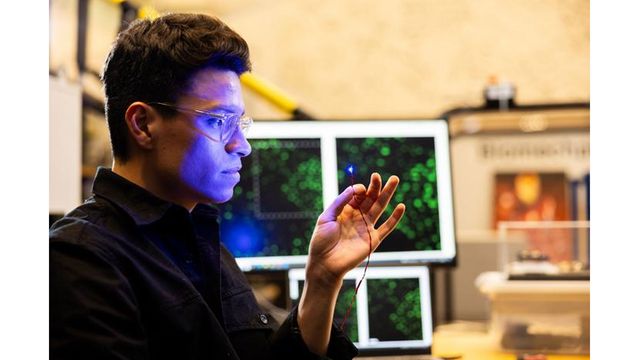 MIT Scientists Develop a Method To Control Muscles Using Light ...