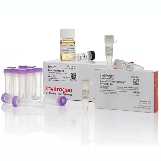 Invitrogen™ GeneArt ™ Gibson Assembly® Cloning: Seamless Cloning Kits ...