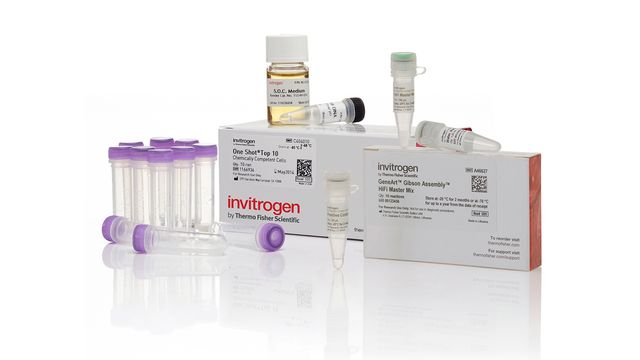 Invitrogen™ GeneArt ™ Gibson Assembly® Cloning: Seamless Cloning Kits ...