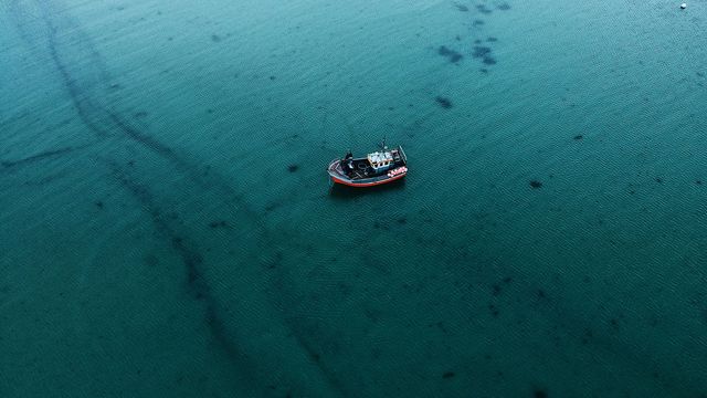 Researchers Develop Reusable “Sponge” for Soaking Up Marine Oil Spills ...
