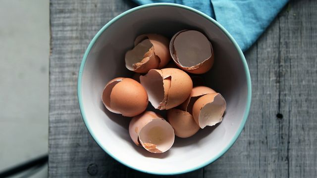 Eggshell Waste Recovers Rare Earth Elements Needed for Green Energy ...