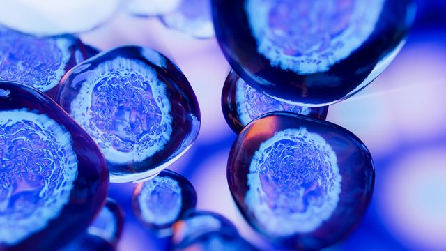 Cellular Origami Allows a Tiny Predator To Display Complex Behavior ...