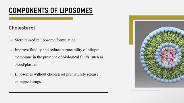 Liposome-based drug delivery system-BOC Sciences | Technology Networks