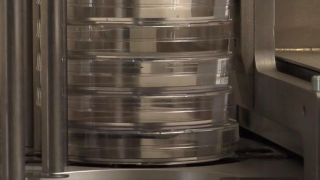 Fully Automatic Colony Counter by AAA Lab Equipment | Technology Networks