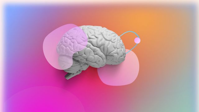 Brain Imaging Identifies Six Subtypes of Depression | Technology Networks