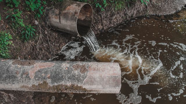 Streamlined Heavy Metal Detection Using Automated ICP-MS Technology ...