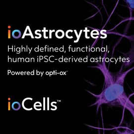 ioAstrocytes - Human iPSC-Derived Astrocytes | Technology Networks