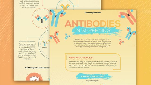 Antibodies in Screening Infographic | Technology Networks
