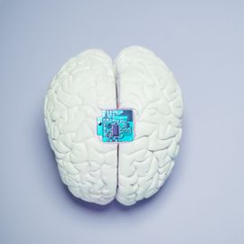 Neuroscience Science Community - News, Articles, Multimedia ...