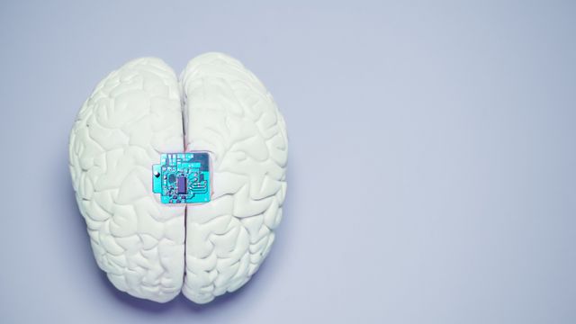 2024 Is the Year for Brain-Computer Interfaces | Technology Networks