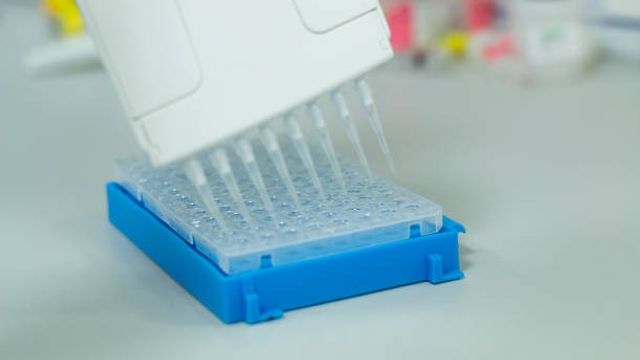 Achieve Excellence in Your qPCR Experiments | Technology Networks