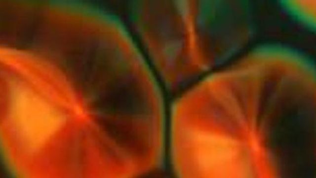 Experience the Future of Bioseparations | Technology Networks