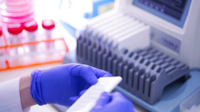 Rapid Detection of Mutations Using ddPCR | Technology Networks