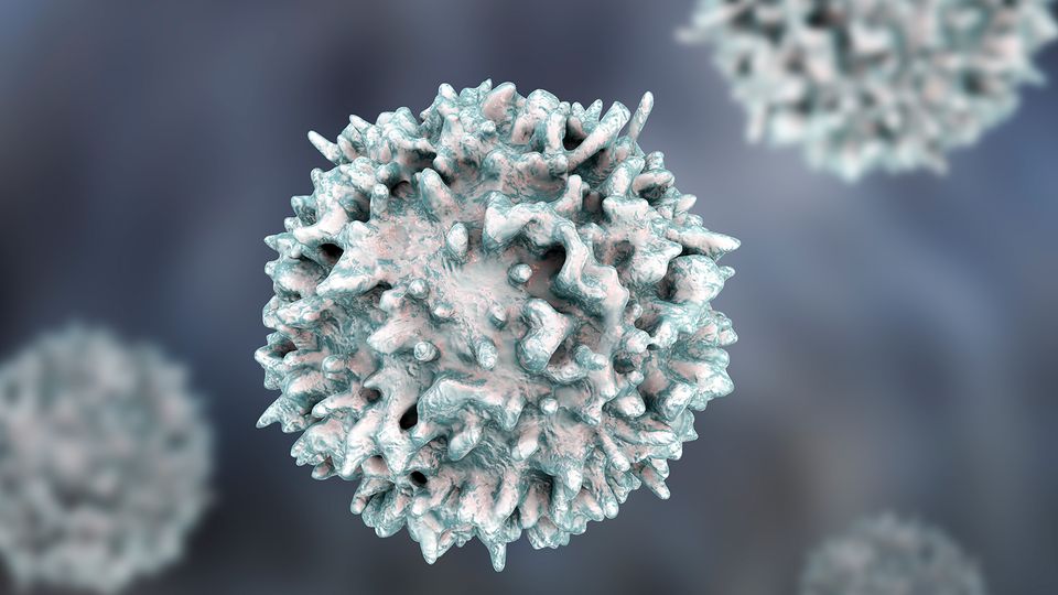 Improving T-Cell Activation and Serial Killing Through Metabolic ...