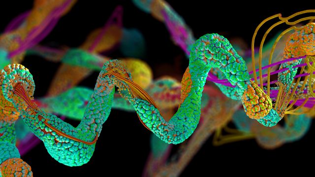 Blood Protein "Signatures" Predict Onset of 67 Diseases, Study Reveals ...