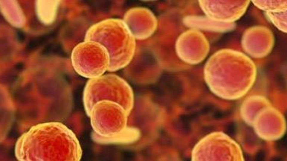 Cell Culture Contamination Prevention Infographic | Technology Networks