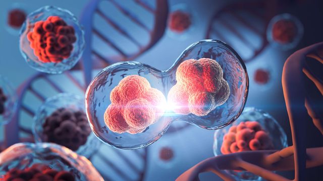 How Do Cancer Cells Divide Despite Treatment? | Technology Networks