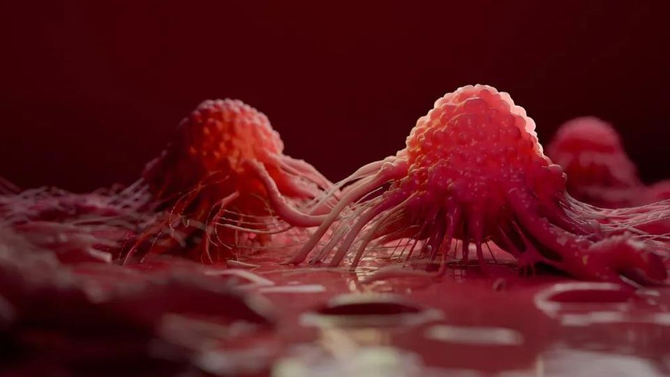 Cell-to-Cell Communication in Cancer | Technology Networks