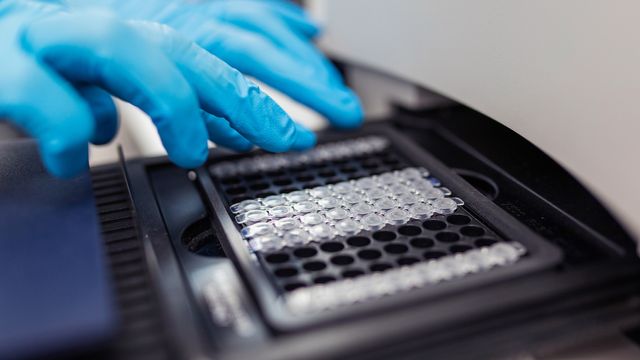 PCR | Technology Networks